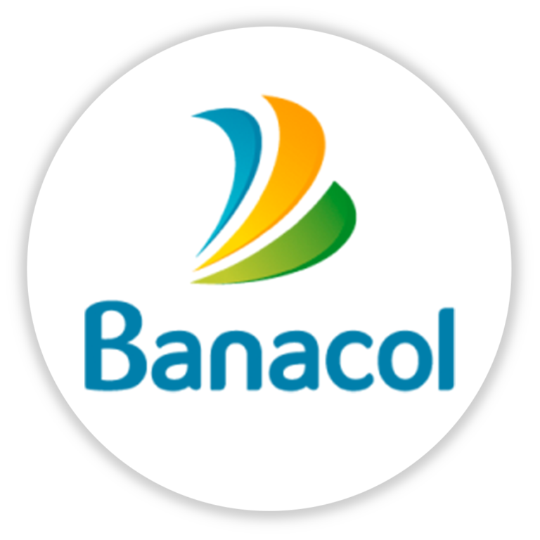 Sobre nosotros - Melimar Company INC